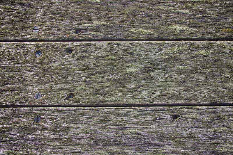 How to Prevent Mould Growth on Timber Decking