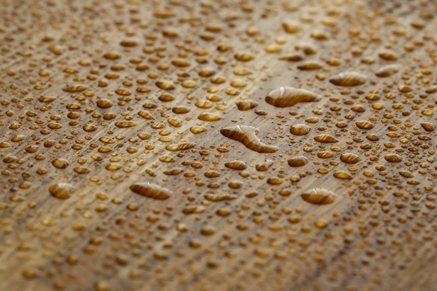 Top 5 Questions When Selecting Timber Coatings